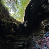 Dames Cave, Florida - 626 Reviews, Map | AllTrails