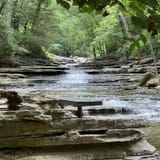 Tanyard Perimeter Loop, Arkansas - 2,924 Reviews, Map | AllTrails