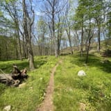 North Point and Pitching Point Loop, New York - 1,663 Reviews, Map ...