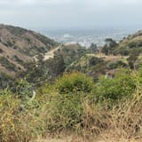 Runyon Canyon Trail, California - 7,935 Reviews, Map | AllTrails