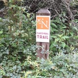 Cardinal Trail, Texas - 25 Reviews, Map | AllTrails