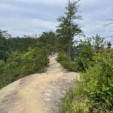 Sky Bridge Trail, Kentucky - 2,558 Reviews, Map | AllTrails