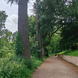 Wepre Park Circular, Flintshire, Wales - 461 Reviews, Map | AllTrails