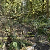 Stimpson Nature Preserve, Washington - 872 Reviews, Map | AllTrails