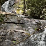 Fall Branch Falls Trail, Georgia - 1,310 Reviews, Map | AllTrails