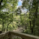 Moon Seed Loop, Louisiana - 381 Reviews, Map | AllTrails