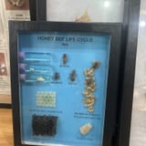 Moon Seed Loop, Louisiana - 381 Reviews, Map | AllTrails