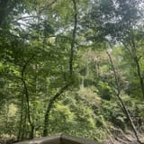 Moon Seed Loop, Louisiana - 381 Reviews, Map | AllTrails