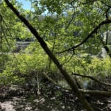 Tradition Lake Loop Trail, Washington - 1,643 Reviews, Map | AllTrails