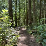 Tradition Lake Loop Trail, Washington - 1,606 Reviews, Map | AllTrails