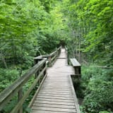 Waterdown Trail to Smokey Hollow, Ontario, Canada - 2,357 Reviews, Map ...