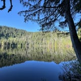 Pinnacle Lake Trail, Washington - 344 Reviews, Map | AllTrails