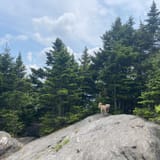 Haystack Mountain Trail, Vermont - 2,068 Reviews, Map | AllTrails