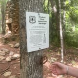 Long Branch Loop Trail, Georgia - 2,375 Reviews, Map | AllTrails