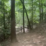 Long Branch Loop Trail, Georgia - 2,375 Reviews, Map | AllTrails