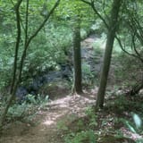 Long Branch Loop Trail, Georgia - 2,375 Reviews, Map | AllTrails