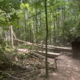 Long Branch Loop Trail, Georgia - 2,375 Reviews, Map | AllTrails