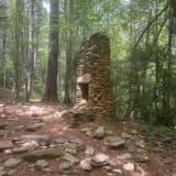 Long Branch Loop Trail, Georgia - 2,375 Reviews, Map | AllTrails