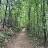 Long Branch Loop Trail, Georgia - 2,375 Reviews, Map | AllTrails