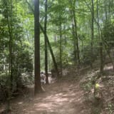 Long Branch Loop Trail, Georgia - 2,368 Reviews, Map | AllTrails
