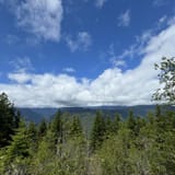 Mount Walker, Washington - 2,184 Reviews, Map | AllTrails