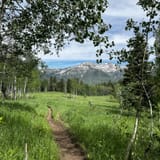 Tibble Fork Loop Trail, Utah - 817 Reviews, Map | AllTrails