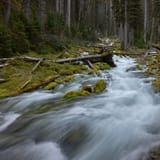 Karst Spring Trail, Alberta, Canada - 913 Reviews, Map | AllTrails
