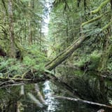 Stimpson Nature Preserve, Washington - 872 Reviews, Map | AllTrails