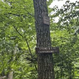 Black Rock via the Appalachian Trail, Maryland - 1,899 Reviews, Map ...