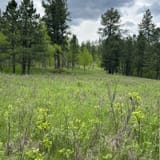 Empire Mine via Samelius Trailhead, South Dakota - 374 Reviews, Map ...