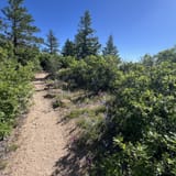Carpenter Peak Trail, Colorado - 3,563 Reviews, Map | AllTrails