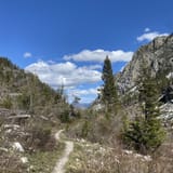 Granite Canyon Trail, Wyoming - 471 Reviews, Map | AllTrails
