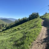 Armstrong Trail to Dawns Trail Loop, Utah - 2,768 Reviews, Map | AllTrails
