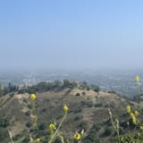Fryman Canyon Trail, California - 6,289 Reviews, Map | AllTrails