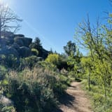 Turtle Rock Loop Trail, Wyoming - 1,246 Reviews, Map | AllTrails