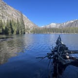 Lake Stuart Trail, Washington - 759 Reviews, Map | AllTrails