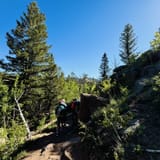 Turtle Rock Loop Trail, Wyoming - 1,246 Reviews, Map | AllTrails