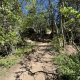 Turtle Rock Loop Trail, Wyoming - 1,246 Reviews, Map | AllTrails