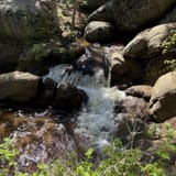 Turtle Rock Loop Trail, Wyoming - 1,246 Reviews, Map | AllTrails