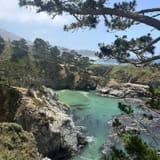 Point Lobos Loop, California - 7,752 Reviews, Map | AllTrails