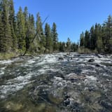 String Lake Trail, Wyoming - 2,122 Reviews, Map | AllTrails