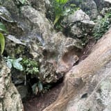 Pico Rodadero Trail: 137 fotos - South Region, Puerto Rico | AllTrails