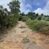 Pico Rodadero Trail: 137 fotos - South Region, Puerto Rico | AllTrails
