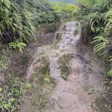 Pico Rodadero Trail: 137 fotos - South Region, Puerto Rico | AllTrails