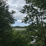 Tobico Marsh Trail, Michigan - 648 Reviews, Map | AllTrails