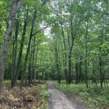 Tobico Marsh Trail, Michigan - 648 Reviews, Map | AllTrails