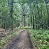 Tobico Marsh Trail, Michigan - 648 Reviews, Map | AllTrails