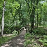 Tobico Marsh Trail, Michigan - 648 Reviews, Map | AllTrails
