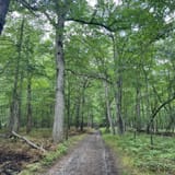 Tobico Marsh Trail, Michigan - 648 Reviews, Map | AllTrails