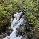 Ira Spring Memorial Trail, Washington - 2,208 Reviews, Map | AllTrails